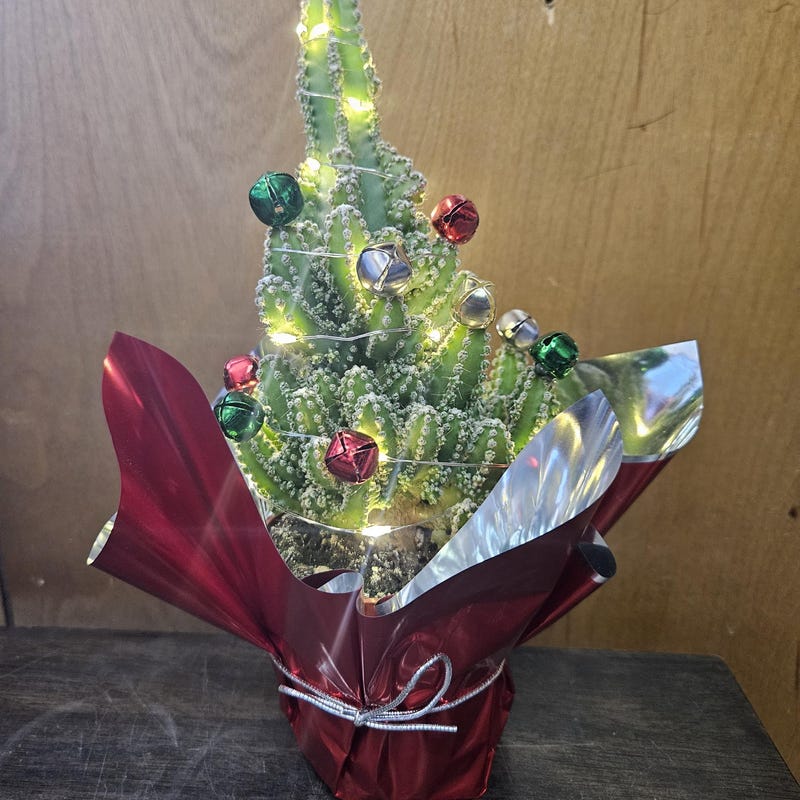 Succulent Christmas Tree - Etsy