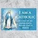 Blessed Mother Catholic ID Card I Am A Catholic Card 2 1/8 X 3 1/4 Act ...