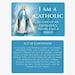 Blessed Mother Catholic ID Card I Am A Catholic Card 2 1/8 X 3 1/4 Act ...