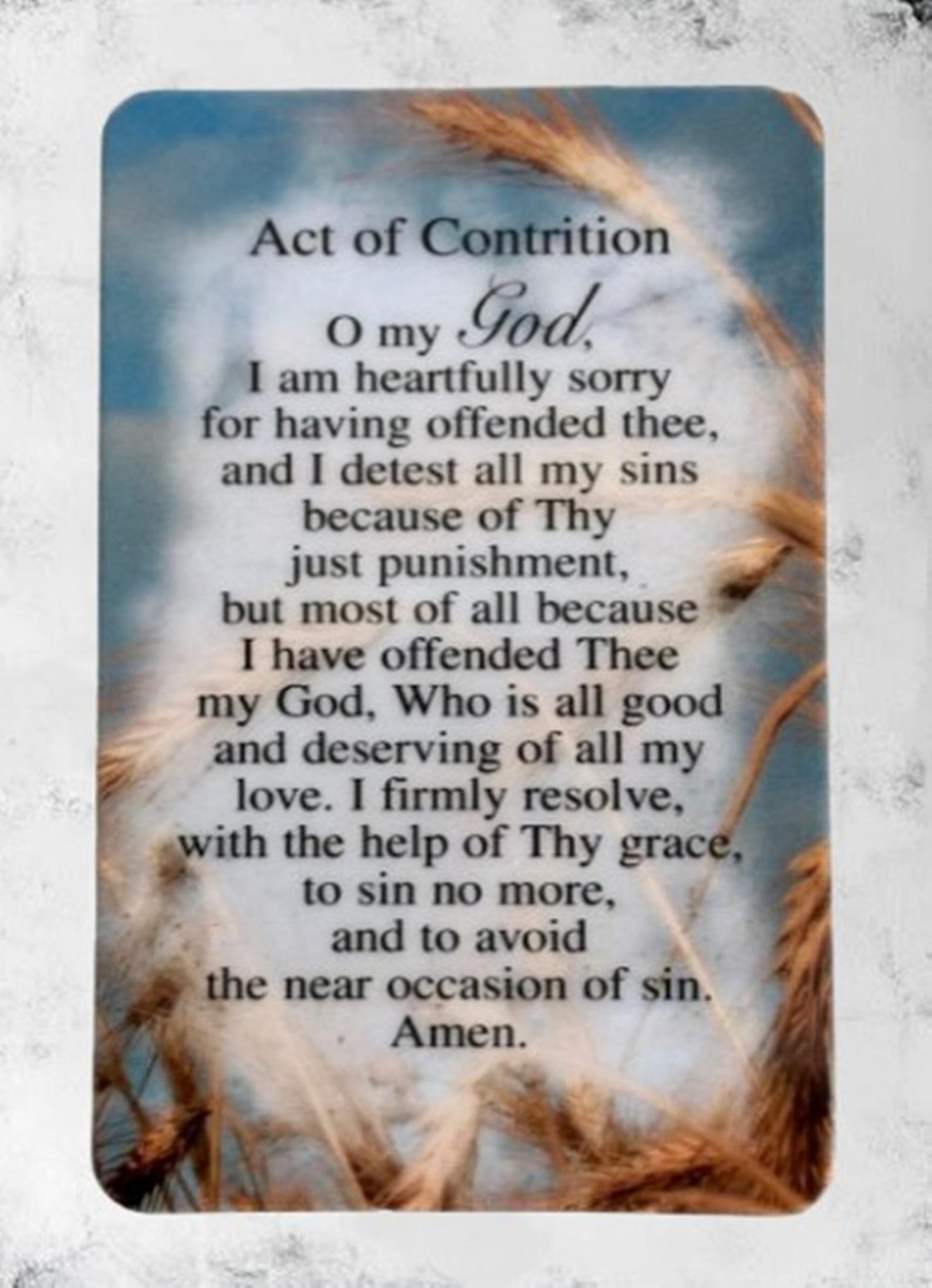 Act of Contrition Catholic Penance Mercy Laminated Plastic Prayer Card ...
