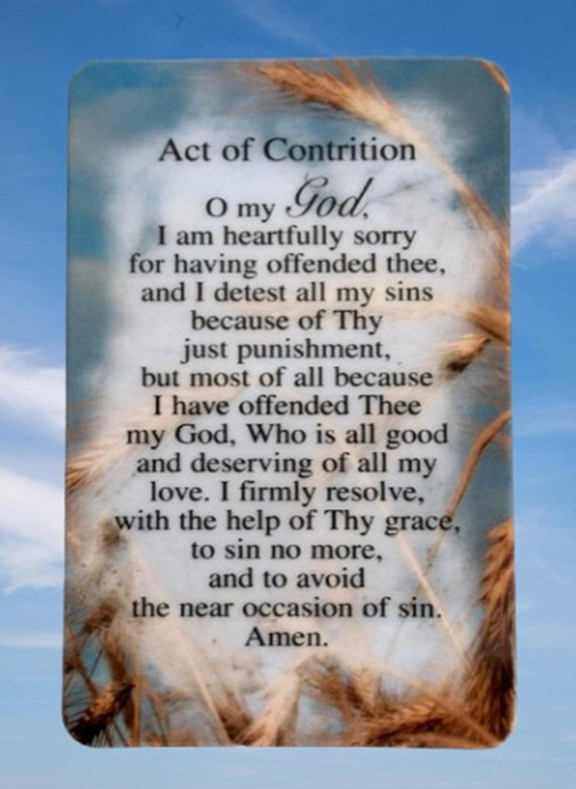 Act of Contrition Catholic Penance Mercy Laminated Plastic Prayer Card ...