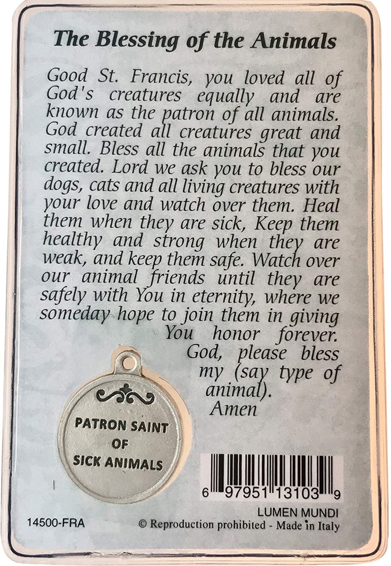 St Francis of Assisi Patron Saint of Animals Laminated Holy Card With ...