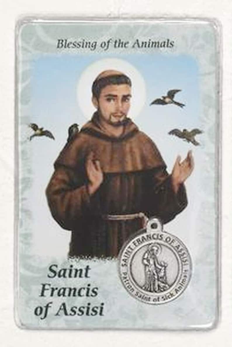 St Francis of Assisi Patron Saint of Animals Laminated Holy Card With ...