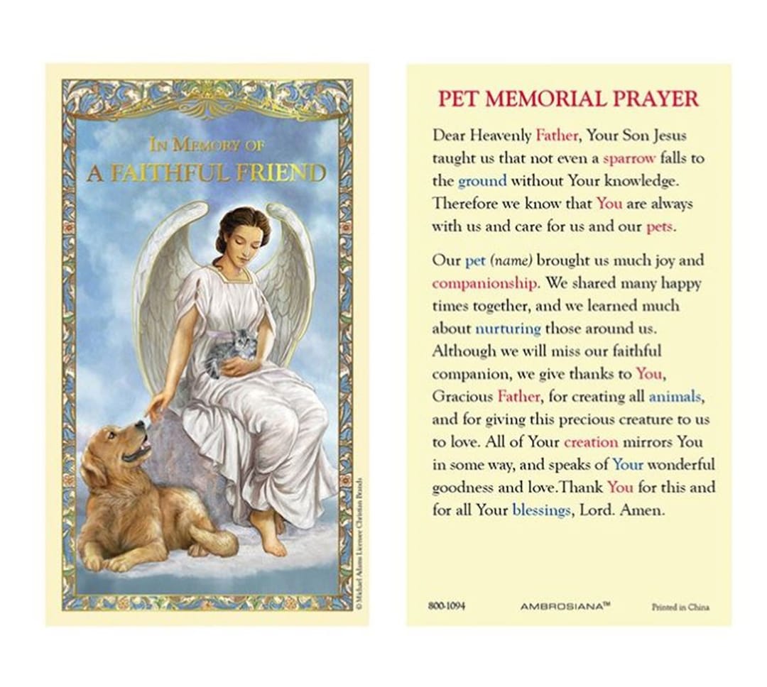 Pet Memorial Pet Loss in Memory of Faithful Friend Holy Card Laminated ...