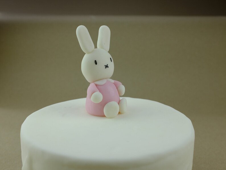 Miffy Cake Topper Fondant Miffy Rabbit Fondant Miffy Birthday Cake ...