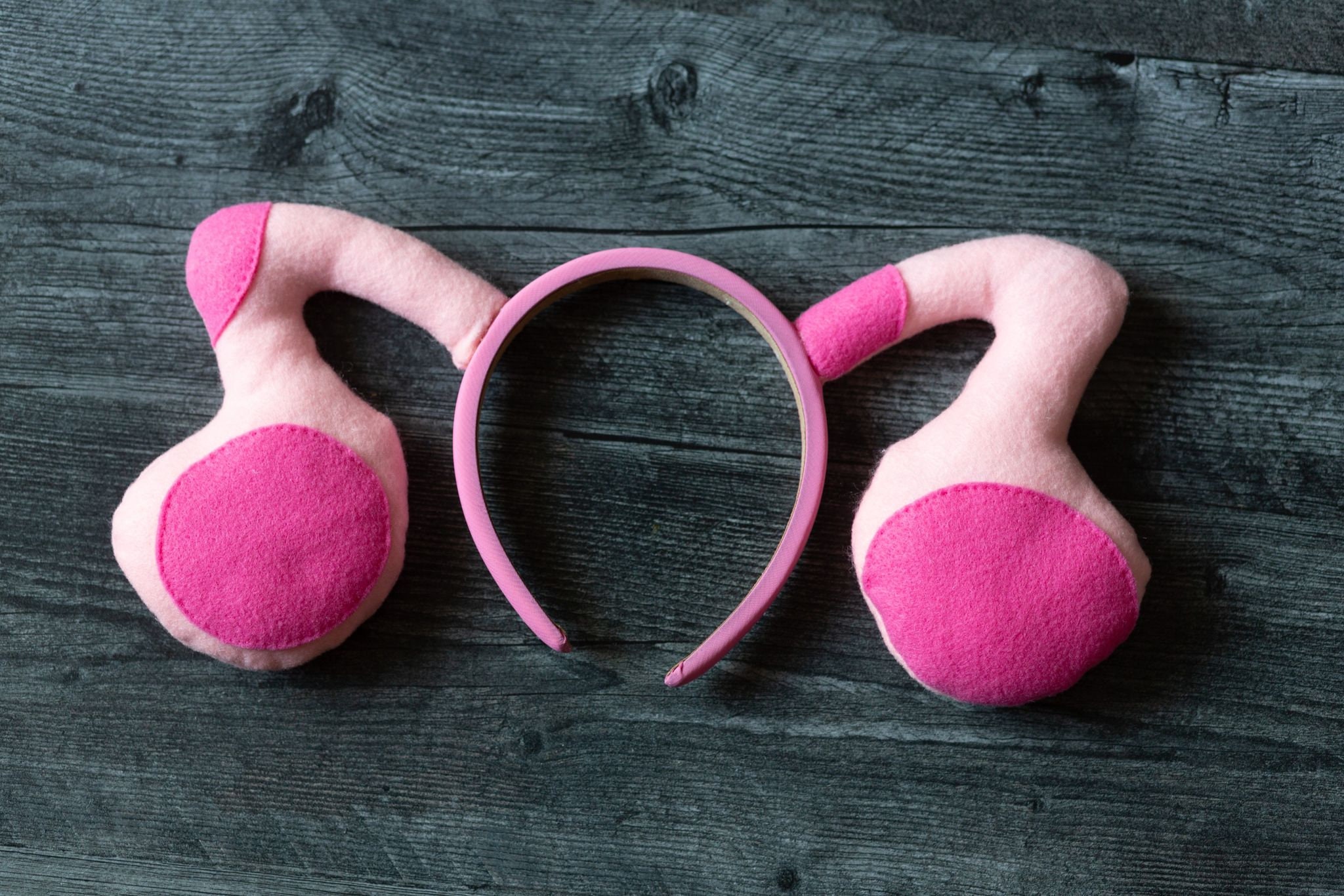 Adult Blues Clues Blue & Magenta Dog Ears - Etsy Canada