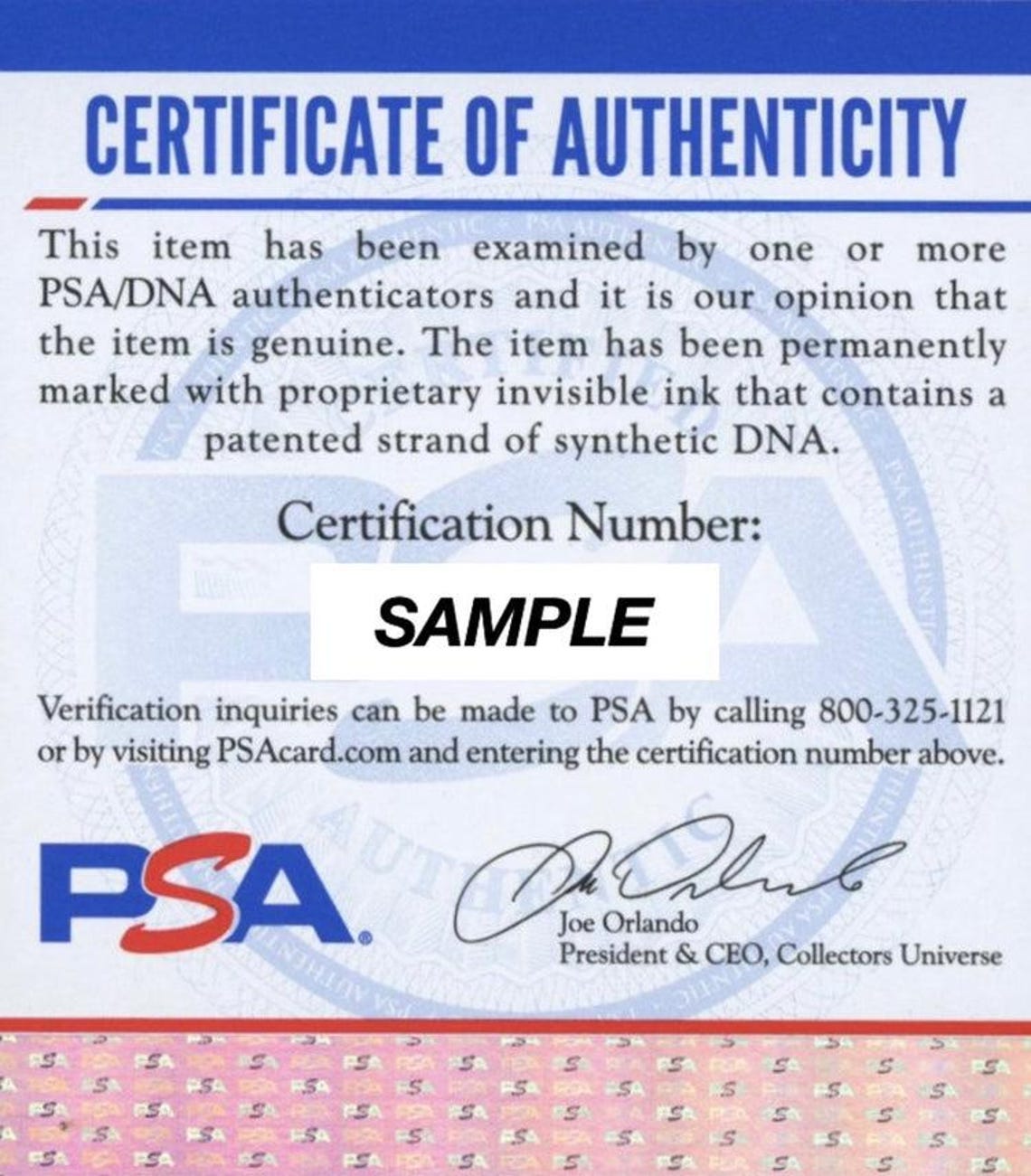 Lil Poppa Signed Autographed 8x10 Sketch PSA/DNA Authenticated - Etsy