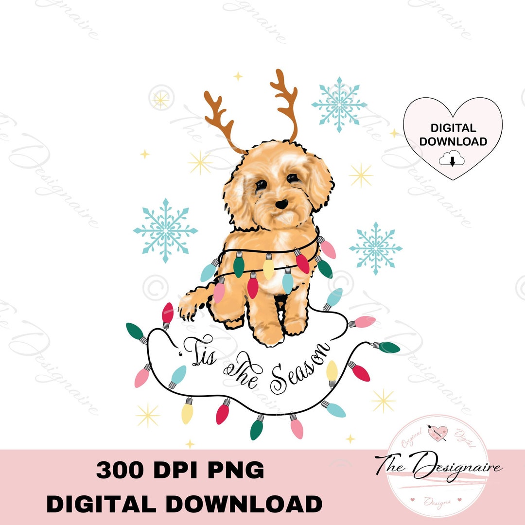 Maltipoo PNG Christmas Puppy PNG Doodle Puppy Sublimation - Etsy