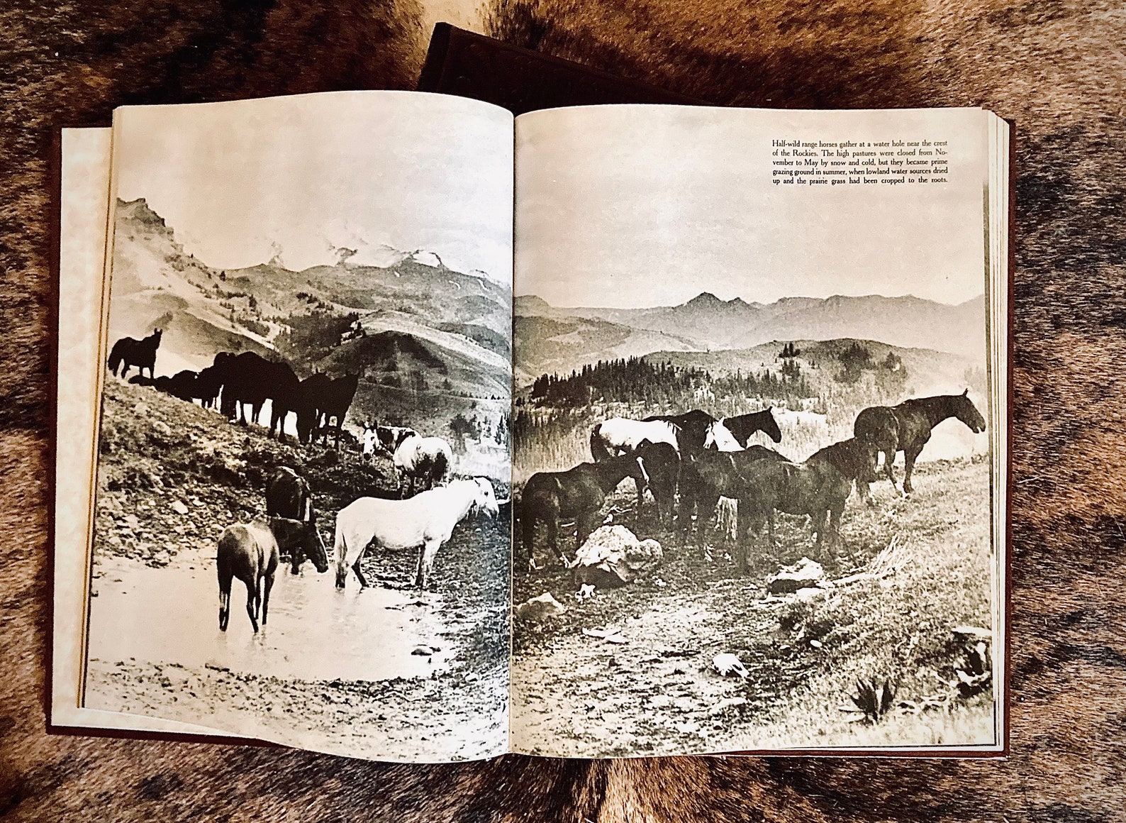 Time Life ‘cowboys’ Series - Etsy