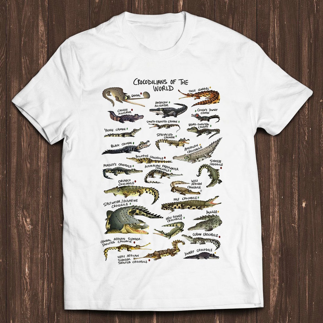 Crocodilians of the World Alligator Crocodile Names List Art Drawing ...