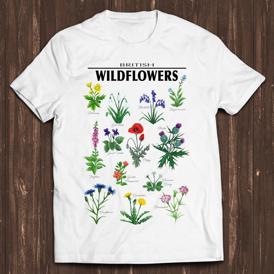 Wildflower Botanical Plant Flowers Fleur British Flower Variations ...