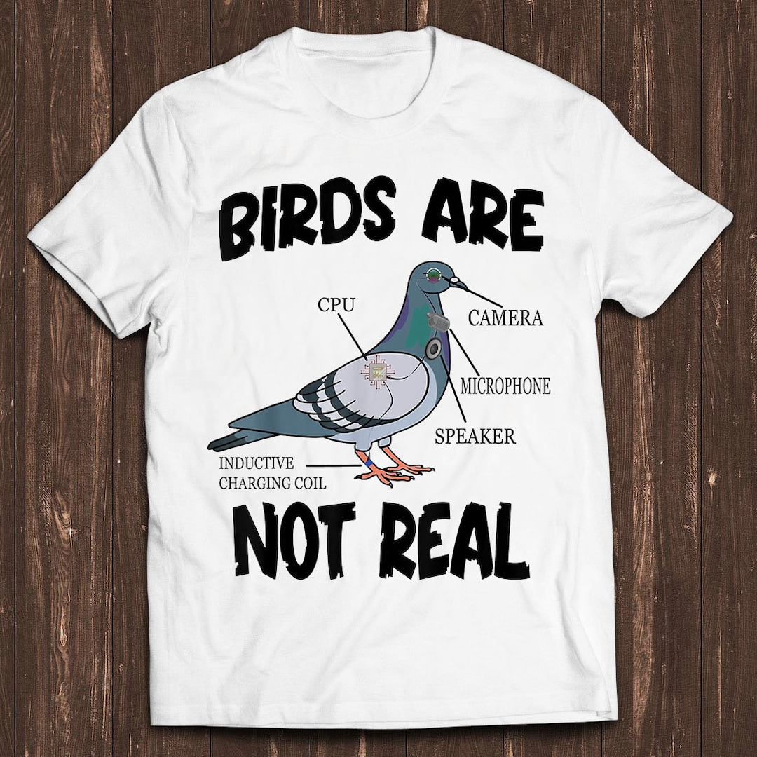 Pigeon Birds Are Not Real Funny Bird Spies Conspiracy Theory Funny ...