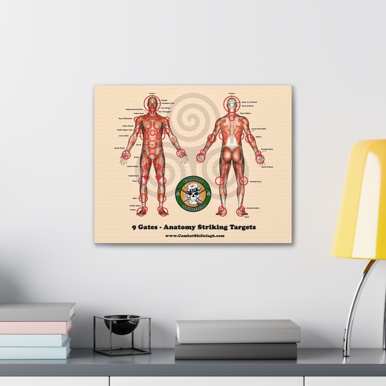 Anatomy Striking Targets Canvas Print - Full Color Print Primary ...