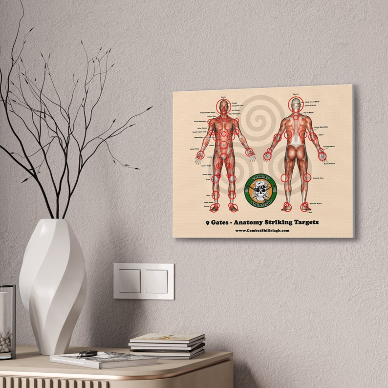 Anatomy Striking Targets Canvas Print - Full Color Print Primary ...