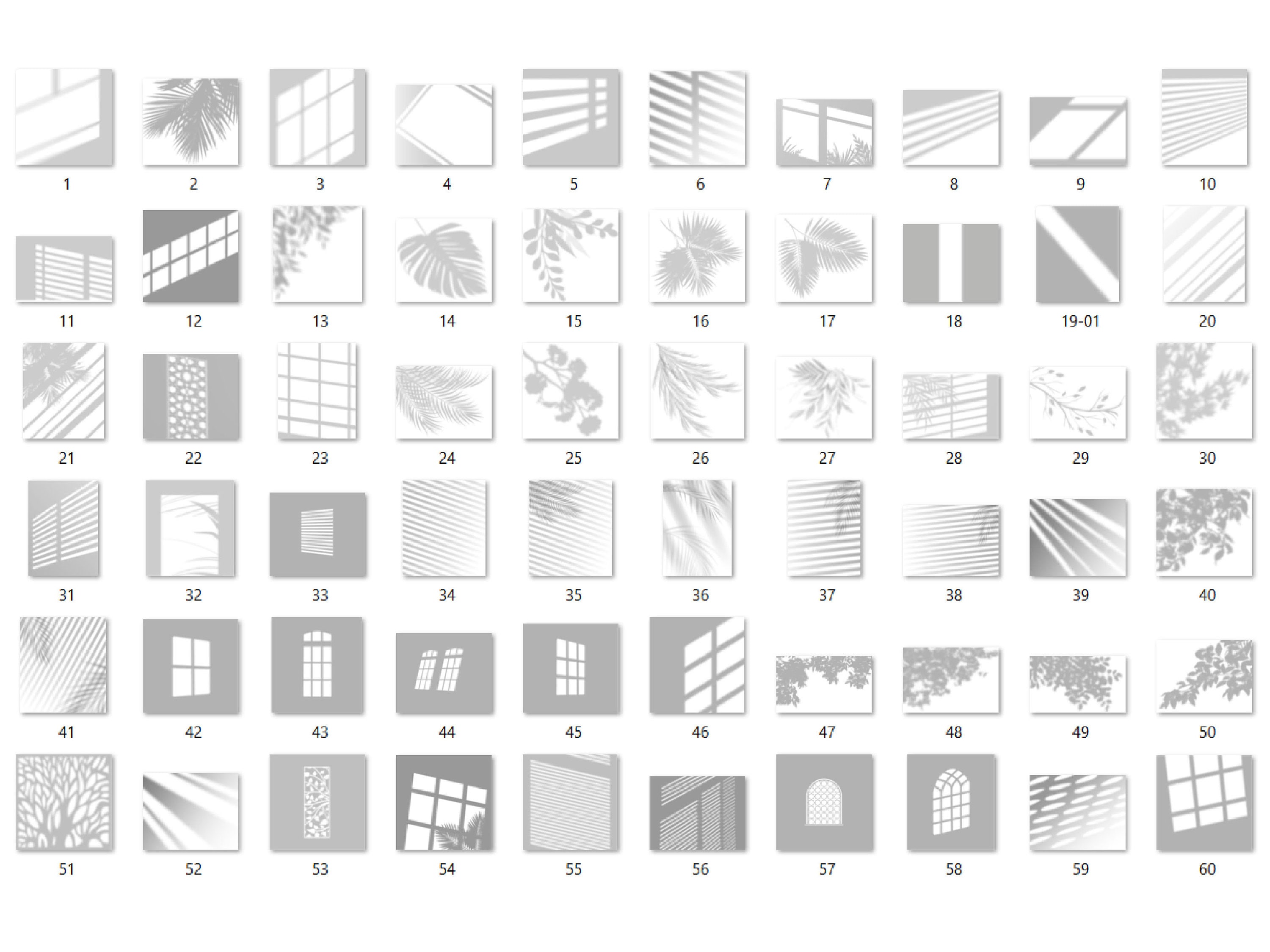 60 Shadow Overlays for Photoshop Window & Botanic Shadow - Etsy Canada