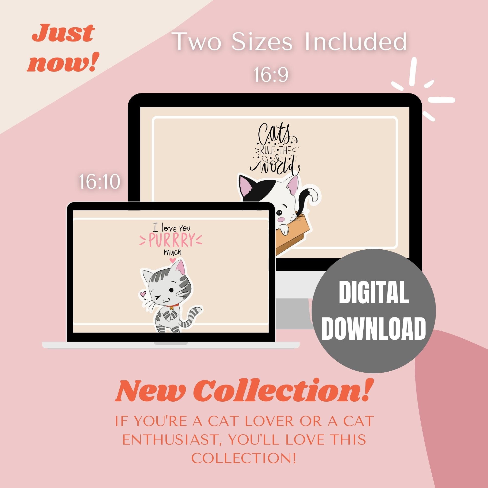 Desktop Wallpaper; Cute Cat Wallpaper; Mac Windows Backdrop; Minimalist ...