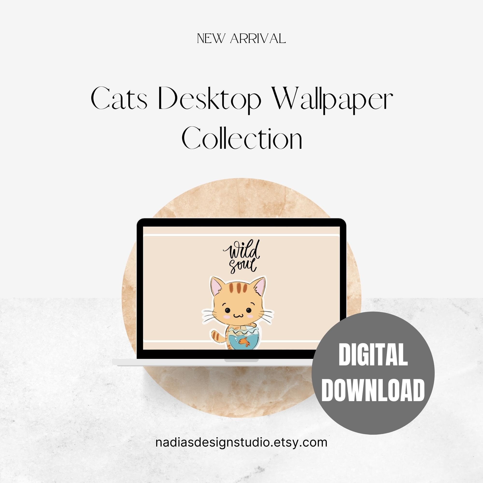 Desktop Wallpaper; Cute Cat Wallpaper; Mac Windows Backdrop; Minimalist ...