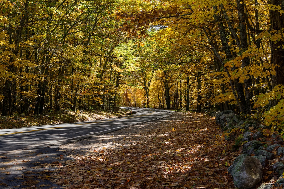 New England Fall Foliage, Leaves, Autumn, Back Road, Landscape - Etsy