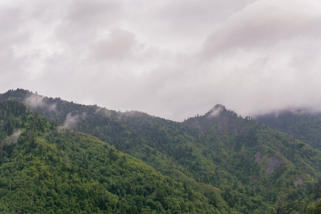Great Smoky Mountains, Fog, Mist, Tennessee, National Parks, Landscape ...