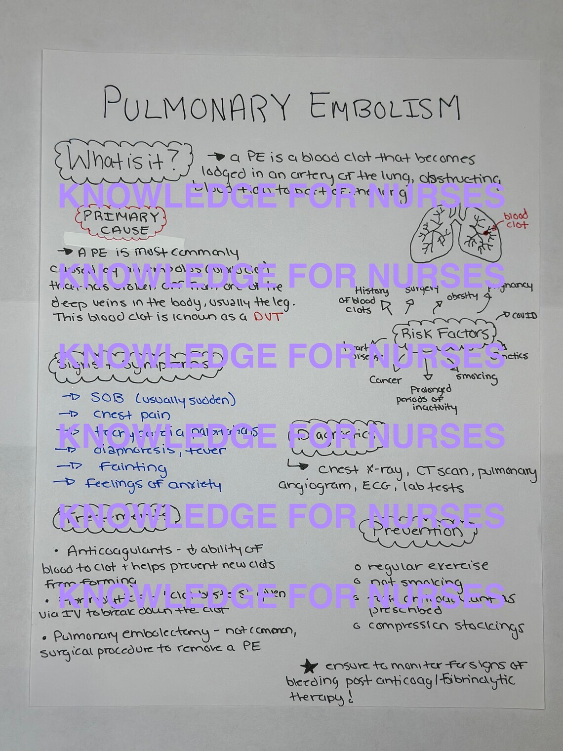 Pulmonary Embolism Quick Study Guide for Nurses and Nursing Students ...