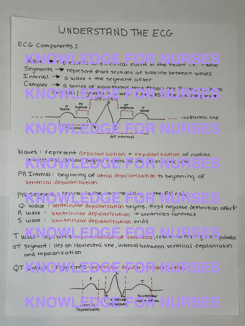 Understanding the ECG- Quick Review Bundle for Nurses/nursing Students ...