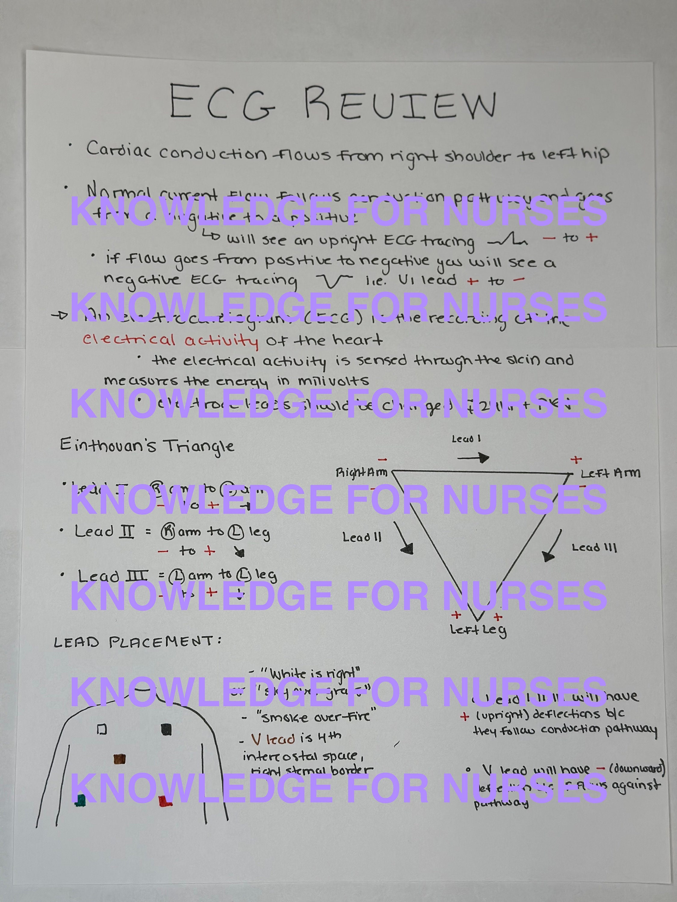 Understanding the ECG- Quick Review Bundle for Nurses/nursing Students ...