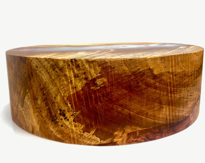 Spalted Pecan Bowl Blank, Black Line Spalt, Excellent Color Contrast ...
