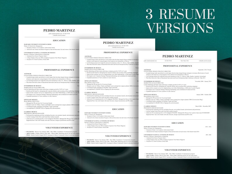Student Resume Template Pack. Resume Template Edit in MS Word, Google ...