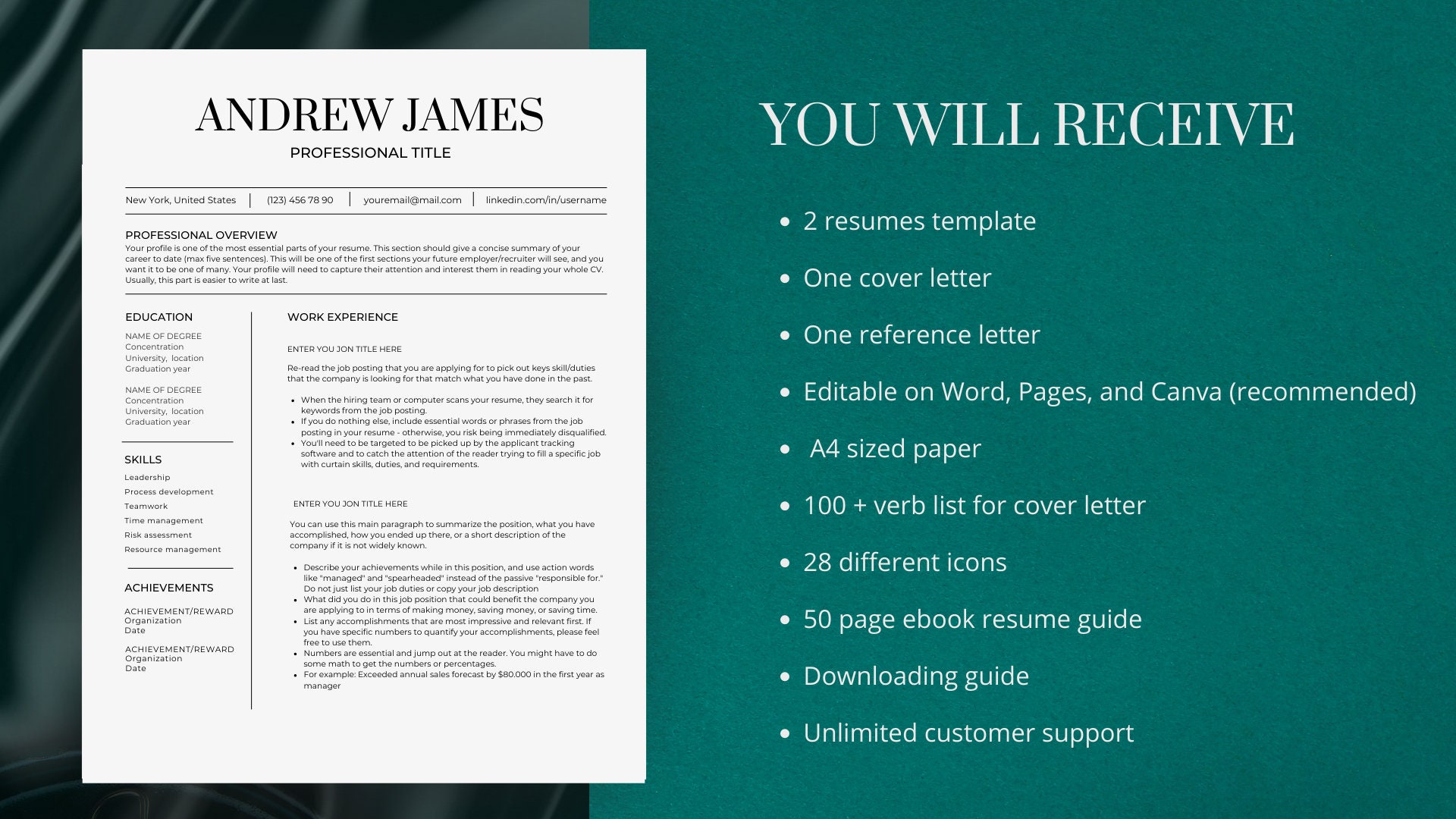 Resume Templates for Word, Apple Pages, Canva. Professional Resumes ...