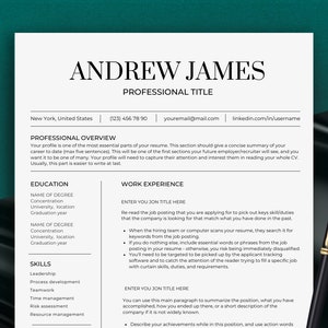 Resume Templates for Word, Apple Pages, Canva. Professional Resumes ...