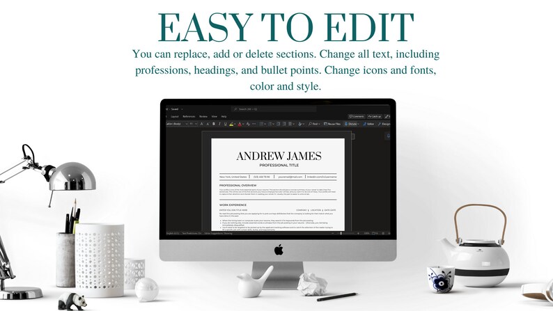 Resume Templates for Word, Apple Pages, Canva. Professional Resumes ...