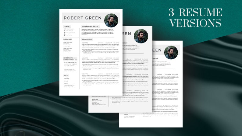 Professional Resume / CV Template Editable on Word, Pages, and Canva ...
