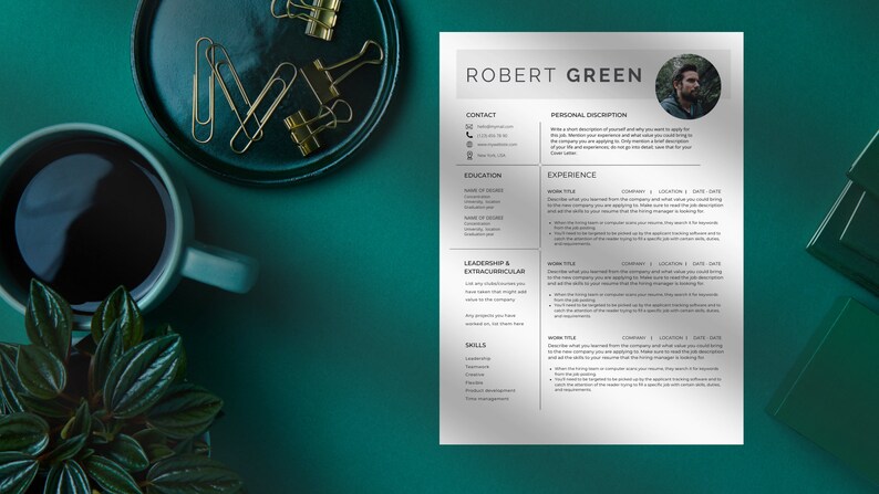 Professional Resume / CV Template Editable on Word, Pages, and Canva ...