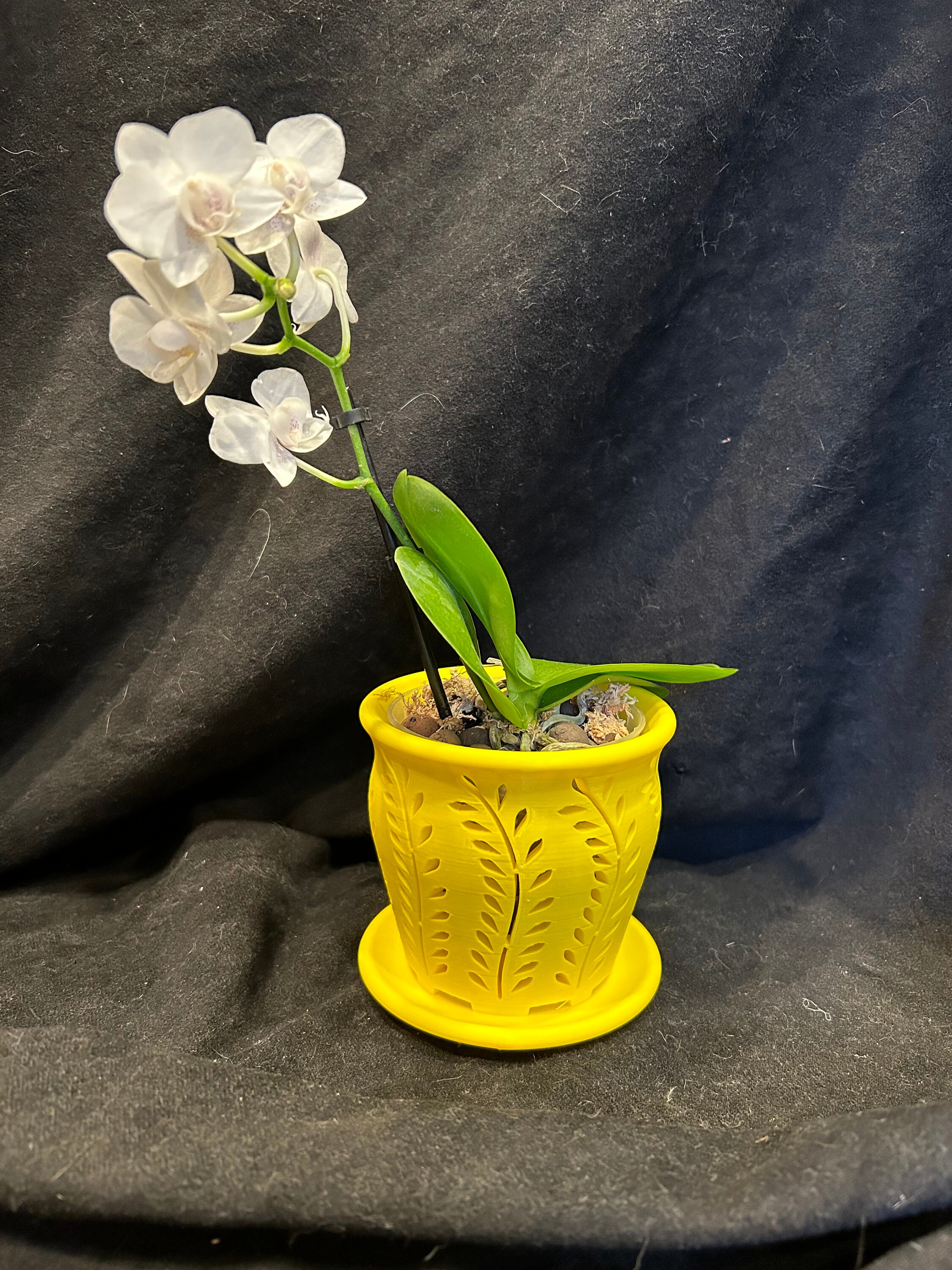 3D Printed Orchid Pot 3 Inch / 8 Cm Diameter True Yellow, Satin Finish ...