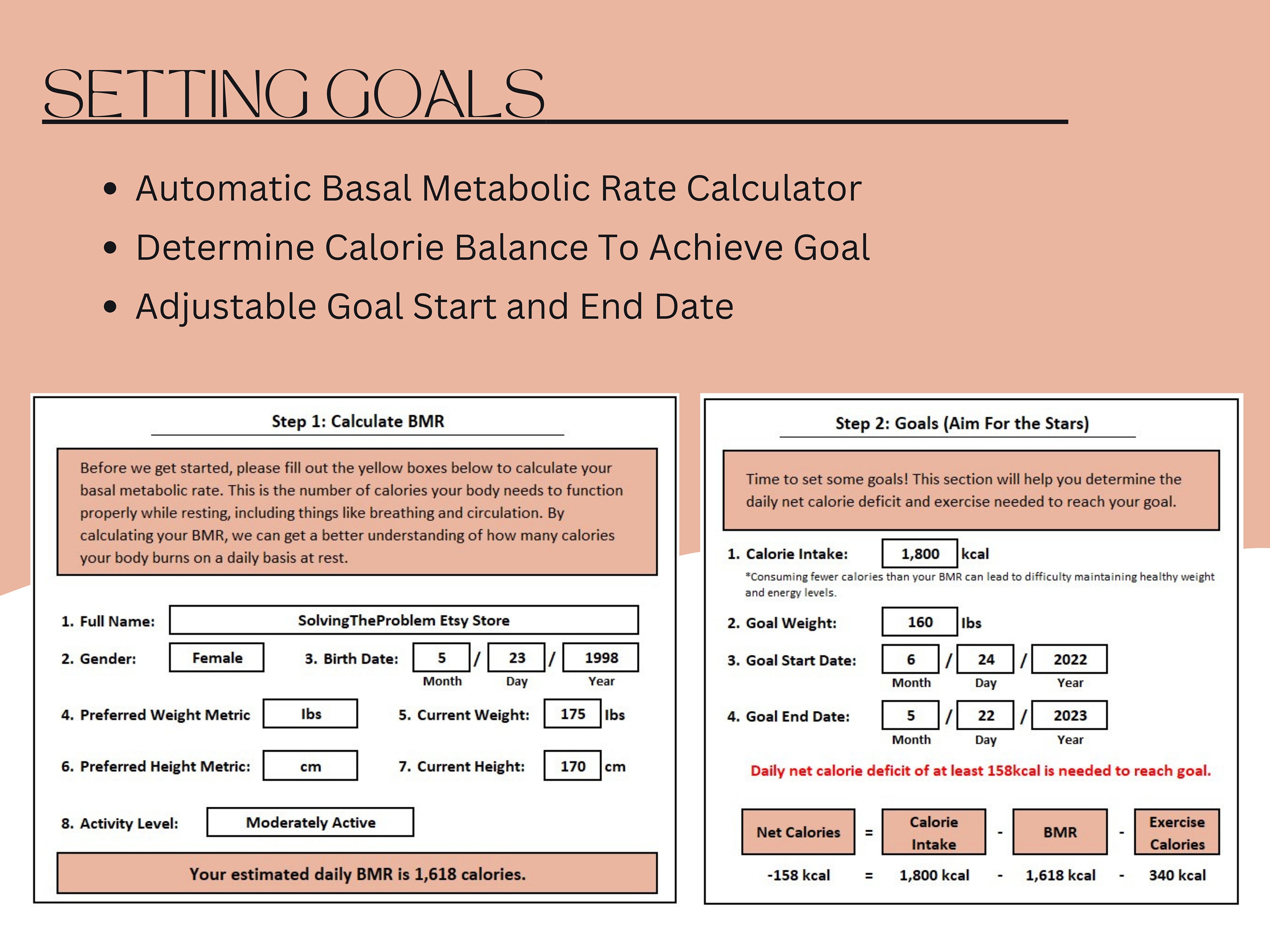 Weight Loss Tracker and Fitness Template, User Friendly Excel Planner ...