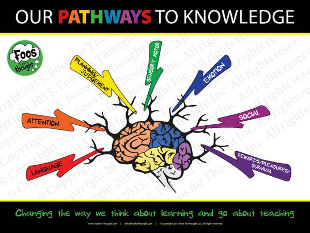 Learning Pathways Poster - Etsy