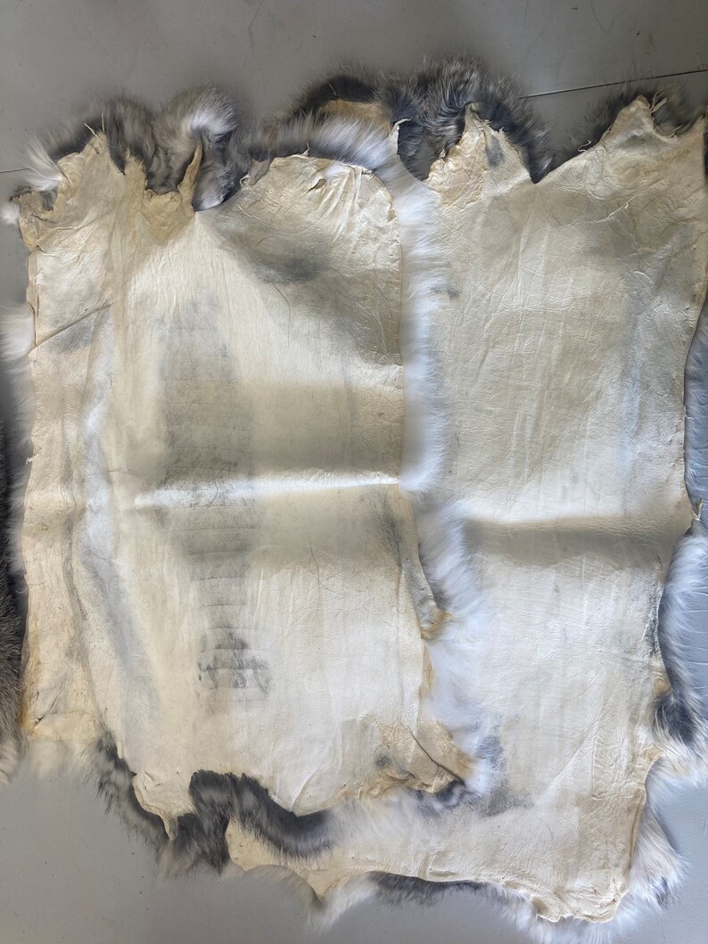 Dark Brown Fawn Rabbit Pelt Real Fur Bunny Pelt Hide - Etsy