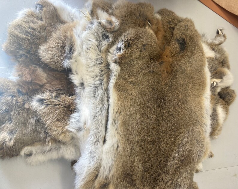 Dark Brown Fawn Rabbit Pelt Real Fur Bunny Pelt Hide - Etsy