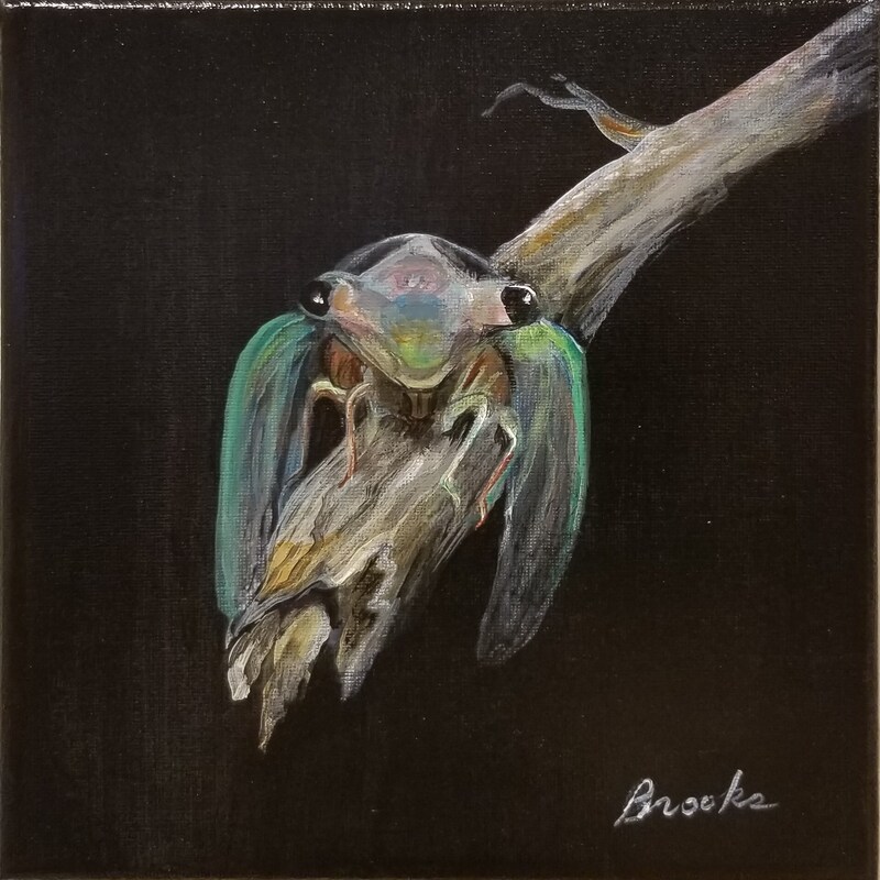 Bug Eyed - Etsy