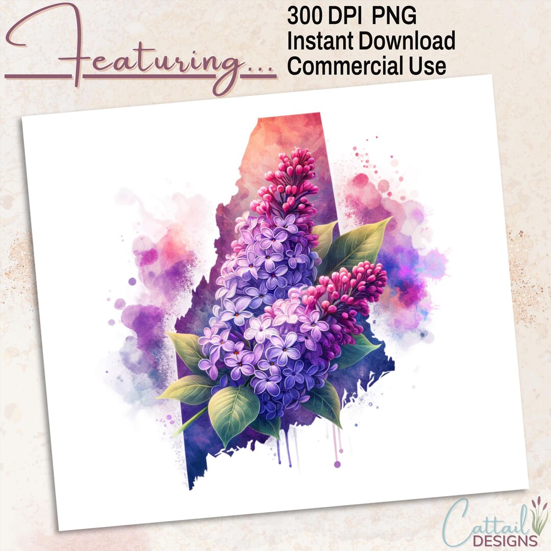 New Hampshire Lilac Flower PNG: Watercolor State Silhouette (300 DPI ...