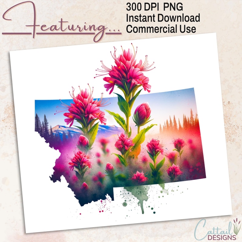 Bitterroot Flower - Etsy