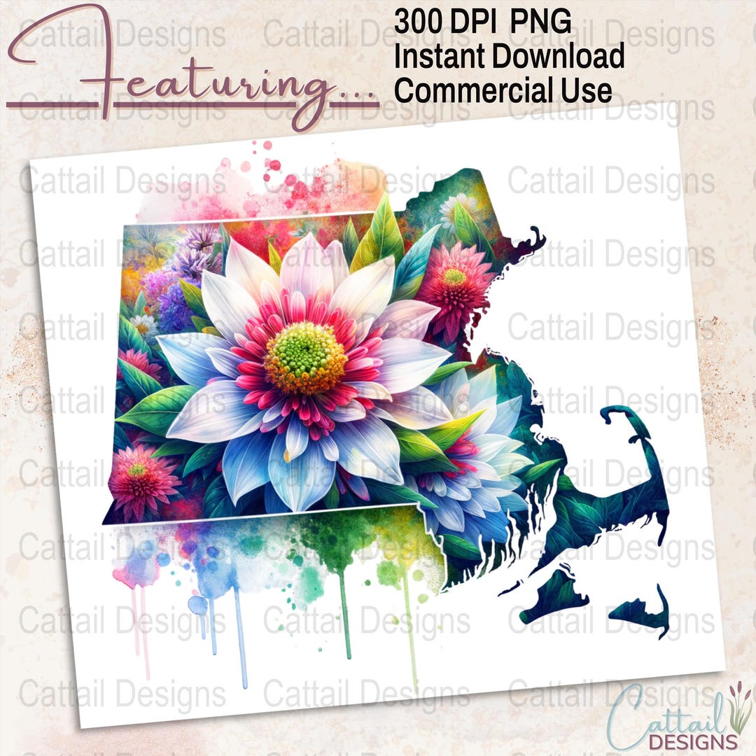 Massachusetts Mayflower State Flower PNG, Massachusetts Floral USA ...