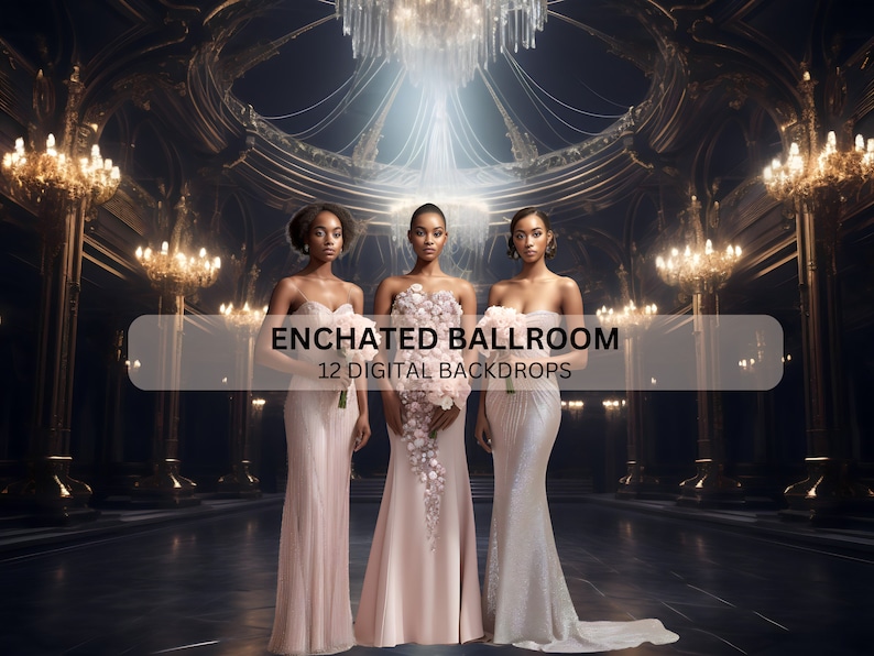 12 Elegant Ballroom Digital Background, Princess Digital Background ...
