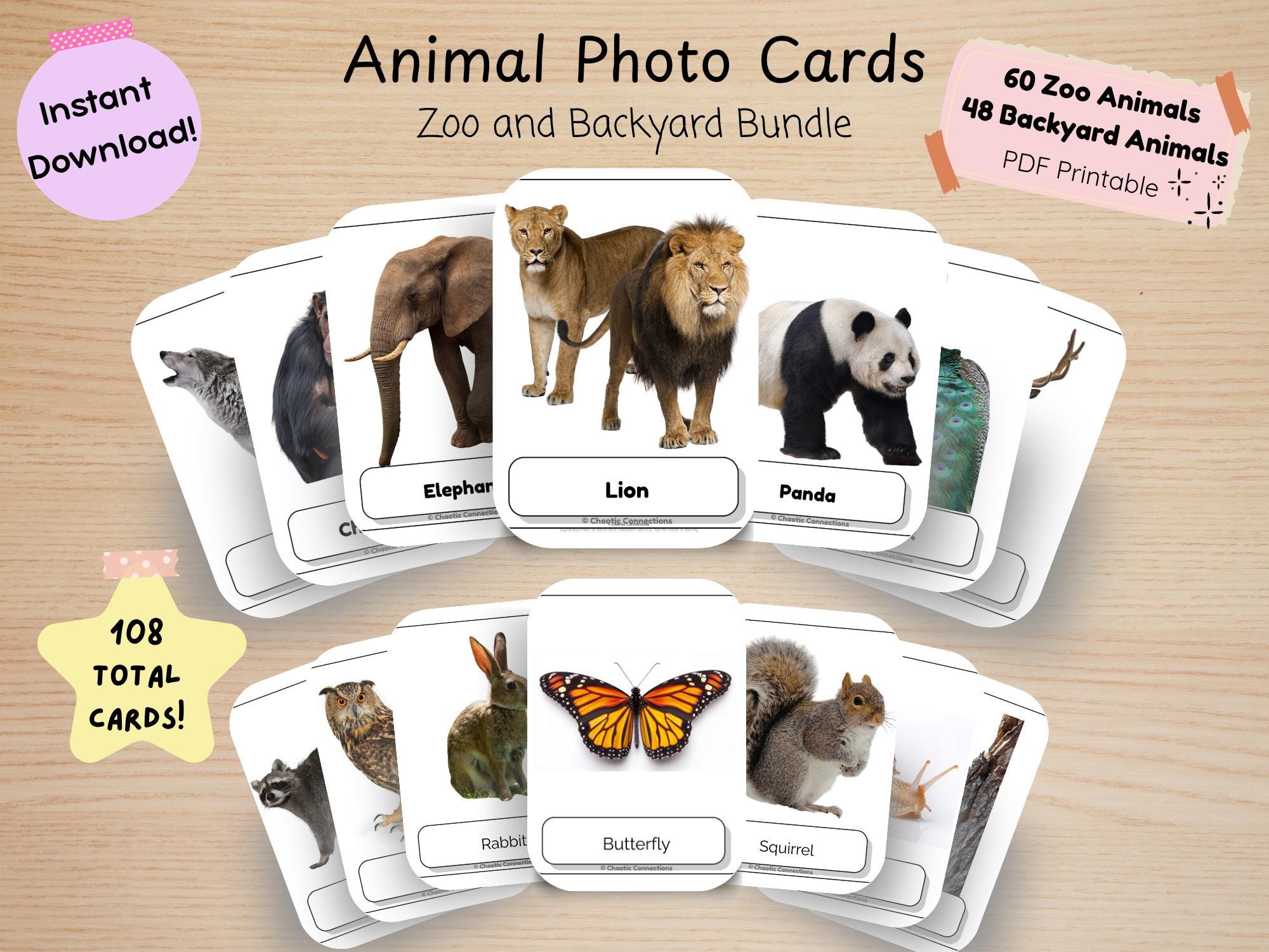Zoo and Backyard Animal Photo Cards Bundle | Real Photo Flashcards ...