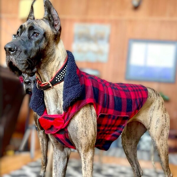 Great Dane Coat - Etsy