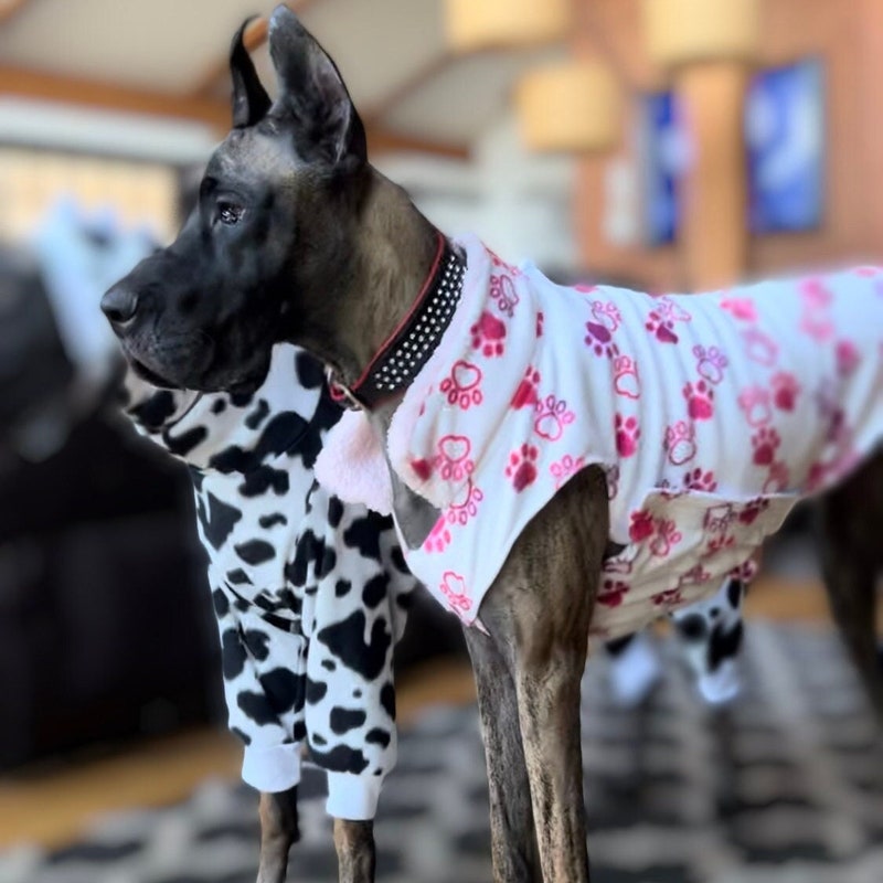 Great Dane Coat - Etsy