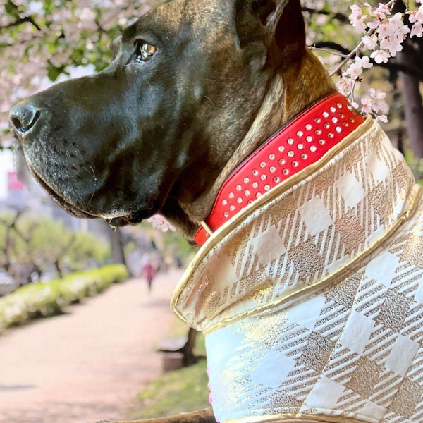 Great Dane Coat - Etsy
