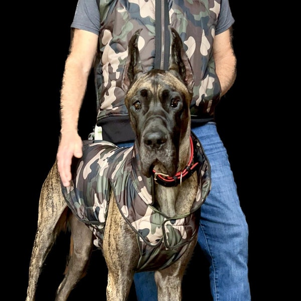Great Dane Fabric - Etsy
