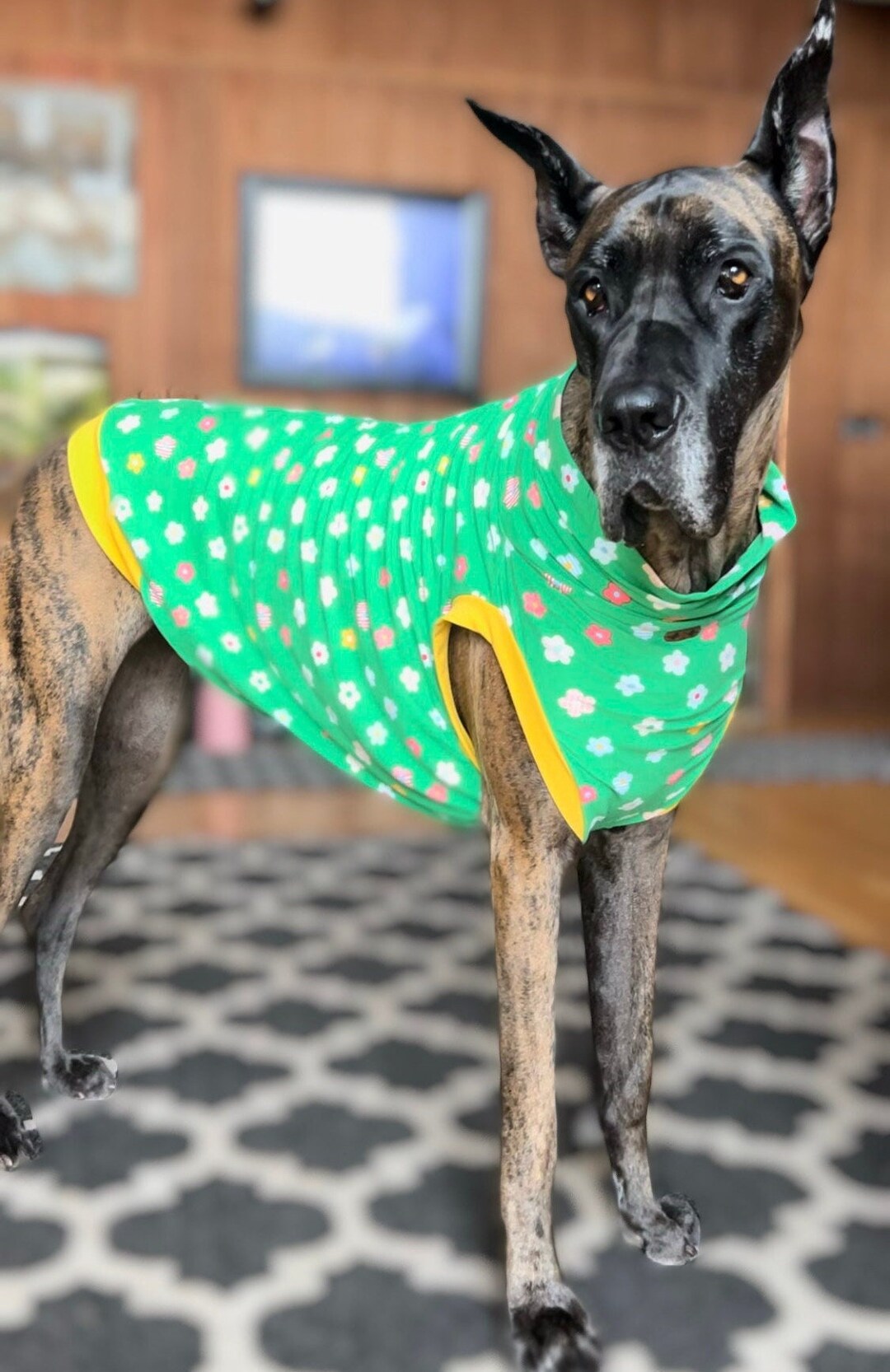 Great Dane / Large Breed Dog Nature, Leaves Lightweight Knit Tee Shirt ...