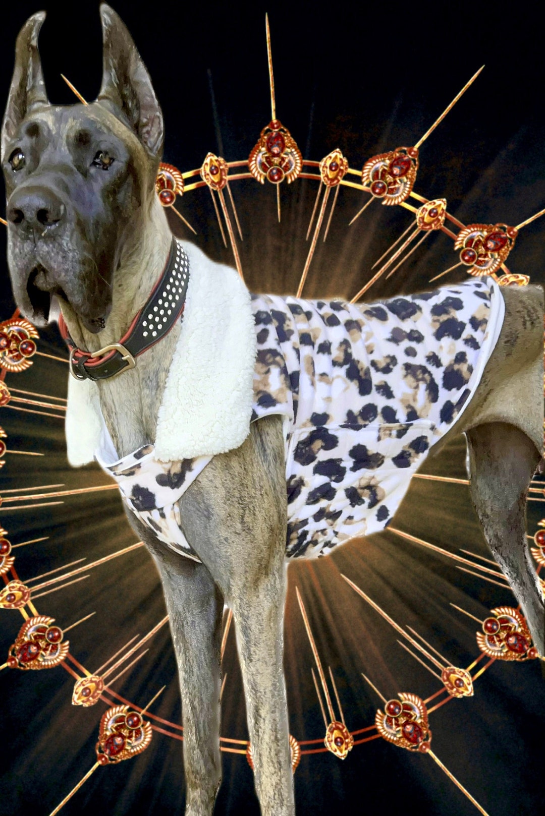 Great Dane/big Dog Jacket. Double Layered Plush Jaguar Print Fleece ...